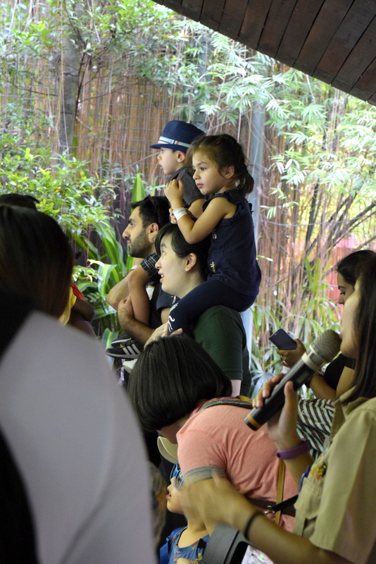 Excursions – Children's Discovery House