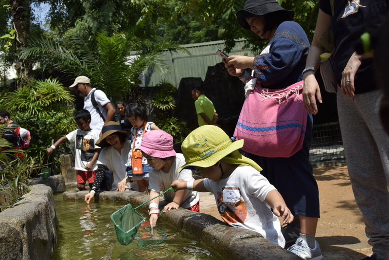 Excursions – Children's Discovery House