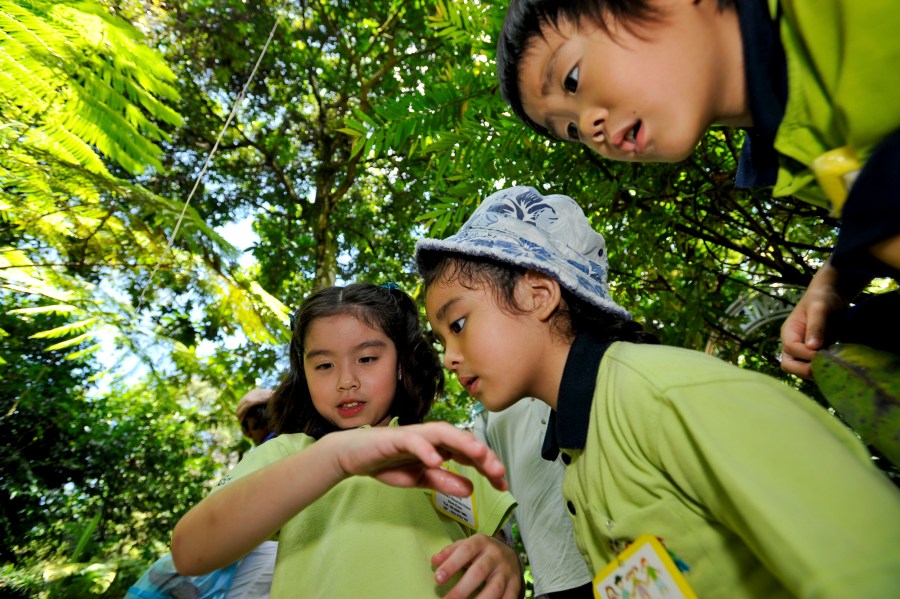 Excursions – Children's Discovery House